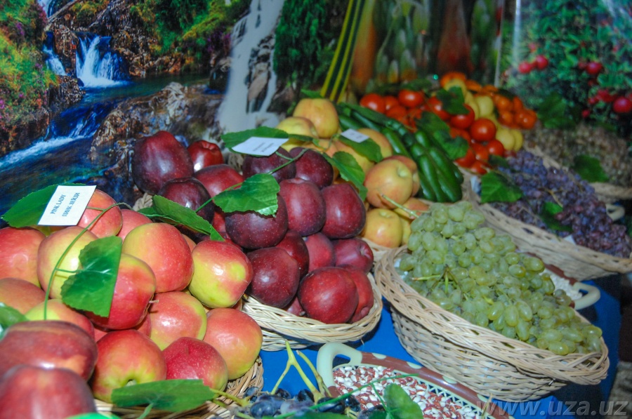 Samarqandda meva-sabzavot eksporti bo‘yicha mintaqaviy forum o‘z ishini ...