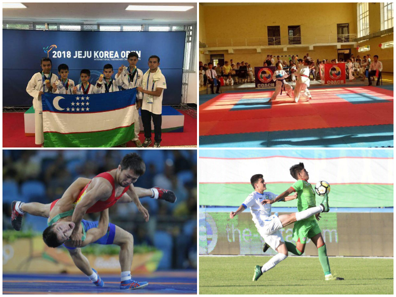 Jismoniy tarbiya va sport haqida batafsil, aniq va tezkor ma'lumotlar siz uchun!