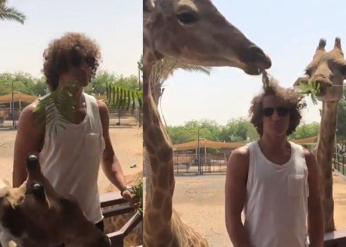 David Luiz jirafaga yem bo‘lishiga sal qoldi