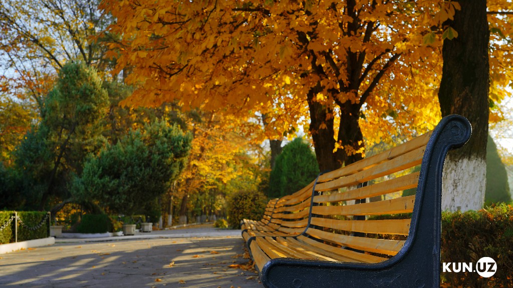 Oltin kuz tarovatidan zavqlanayotgan Toshkent – fotojamlanma