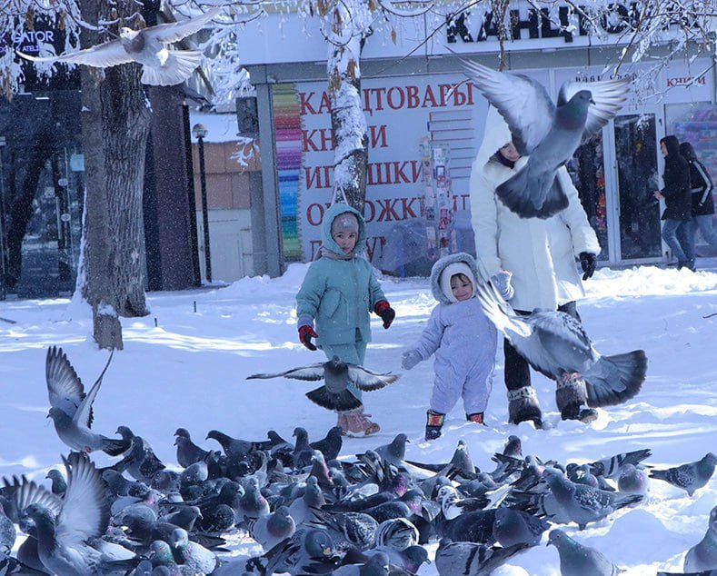 Toshkentda qish zavqi: Bolalarga quvonch ulashgan qor