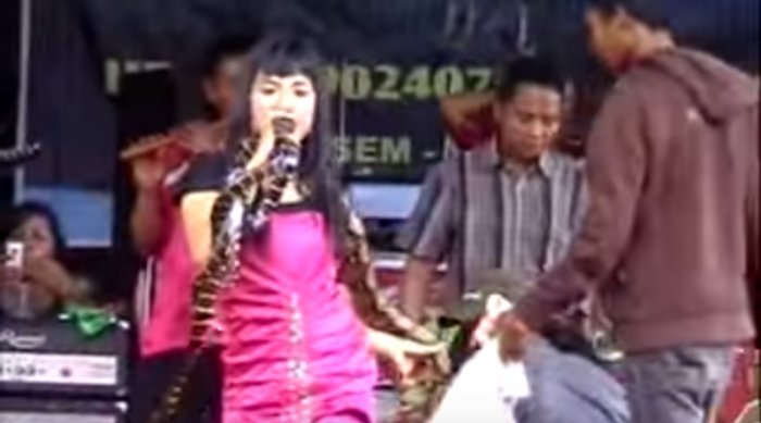 Qo‘shiqchini o‘z konsertida ilon chaqib o‘ldirdi
