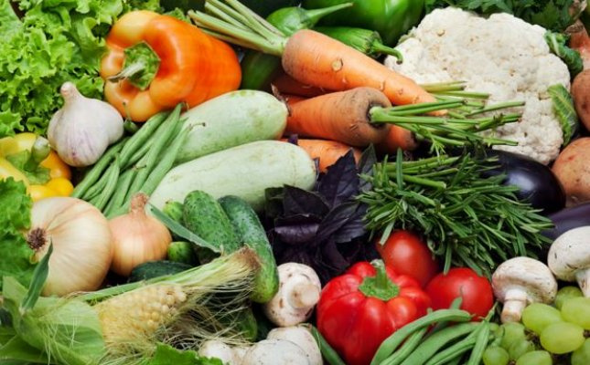 O‘zbekistonda meva-sabzavot mahsulotlarini saqlash tizimini ...